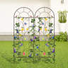 Wildon Home® Fabozzi 59'' H X 20'' W Metal Garden Trellis Bright ...