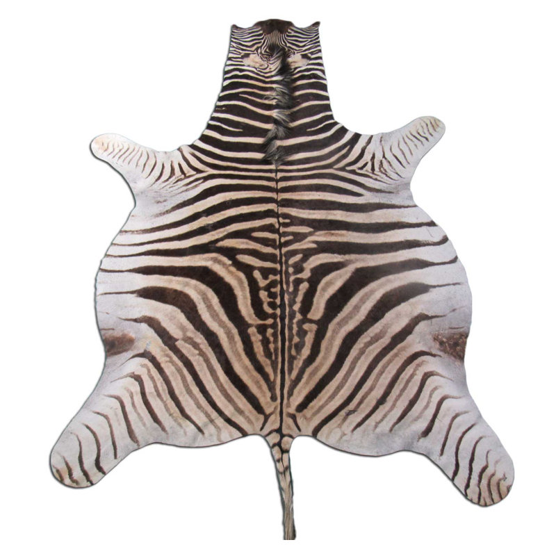 Foundry Select Real Zebra Skin Rug | Wayfair