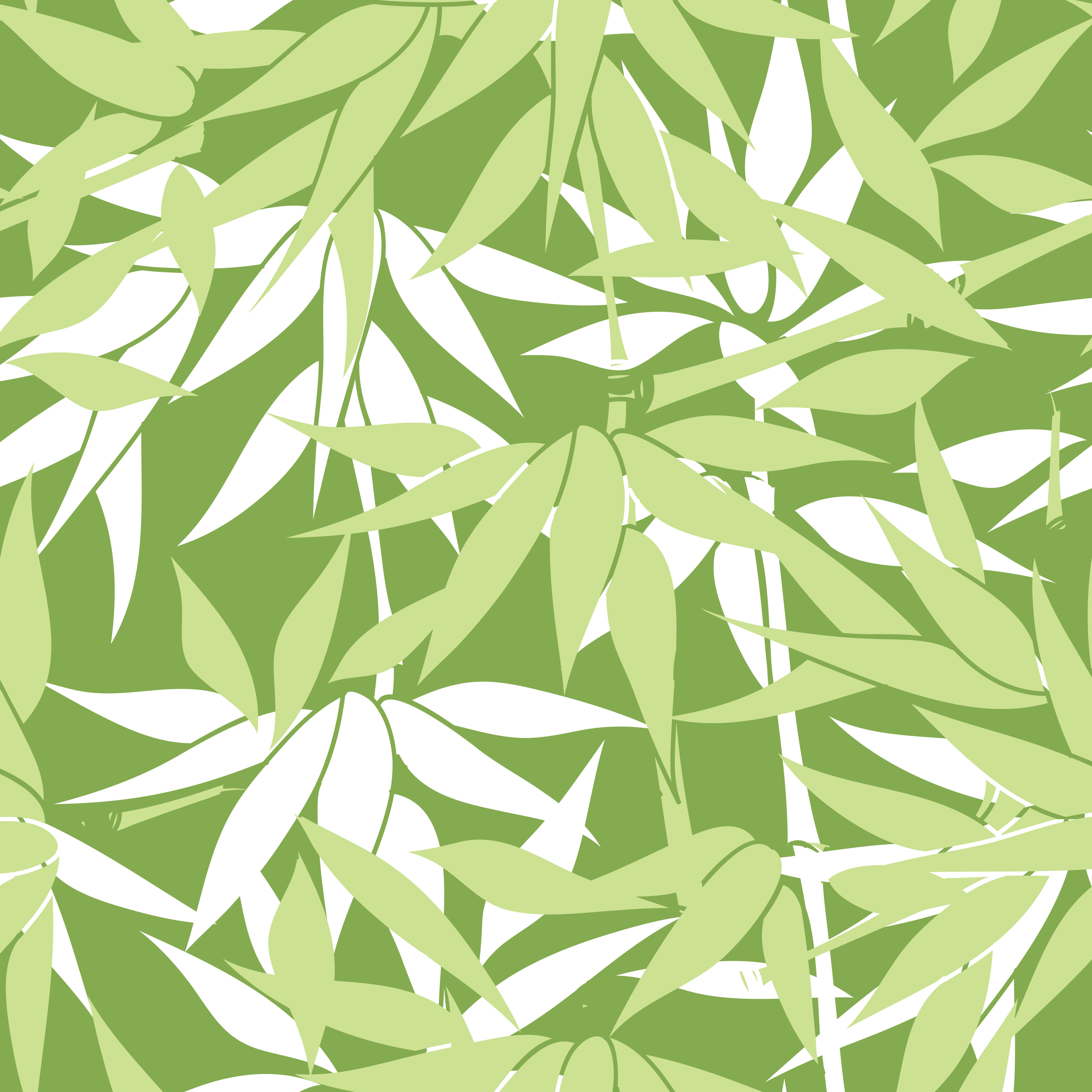 Winston Porter Bamboo Leaf Pattern - Wayfair Canada