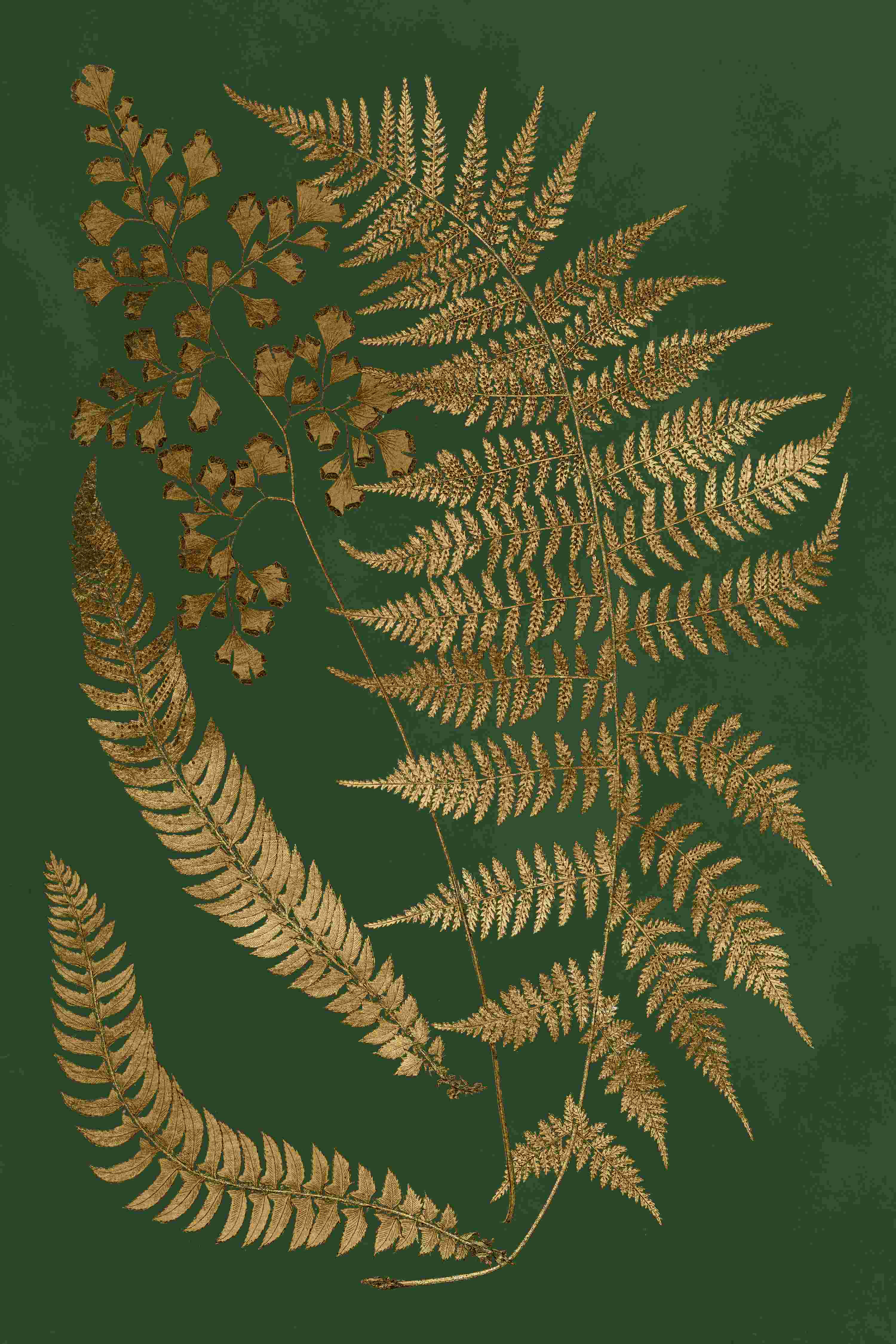 Gracie Oaks Gilded Ferns I | Wayfair