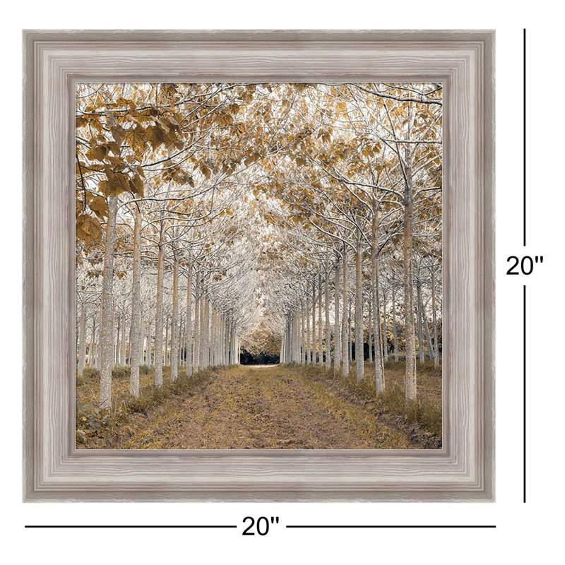Loon Peak® White Gold By Assaf Frank, Framed Wall Art | Wayfair