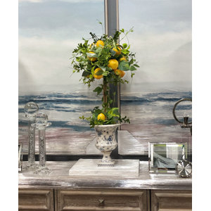 Creative Displays, Inc. Lemon Plant Topiary & Reviews | Perigold