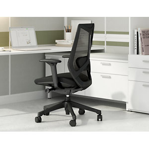 Friant Ignite Ergonomic Mesh Task Chair with Lumbar Support, Pneumatic ...