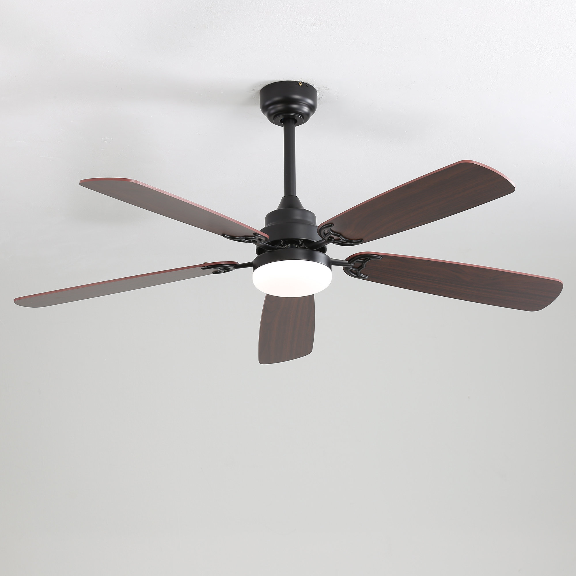 Ebern Designs 52" 5 - Blade Modern Ceiling Fan With Led Lights And ...