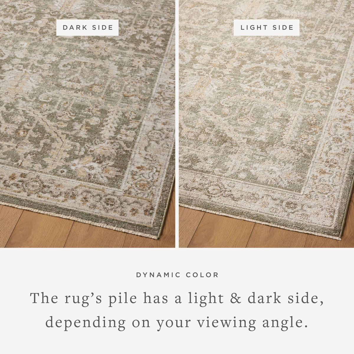Magnolia Home by Joanna Gaines x Loloi Pace Forrest / Natural Area Rug ...