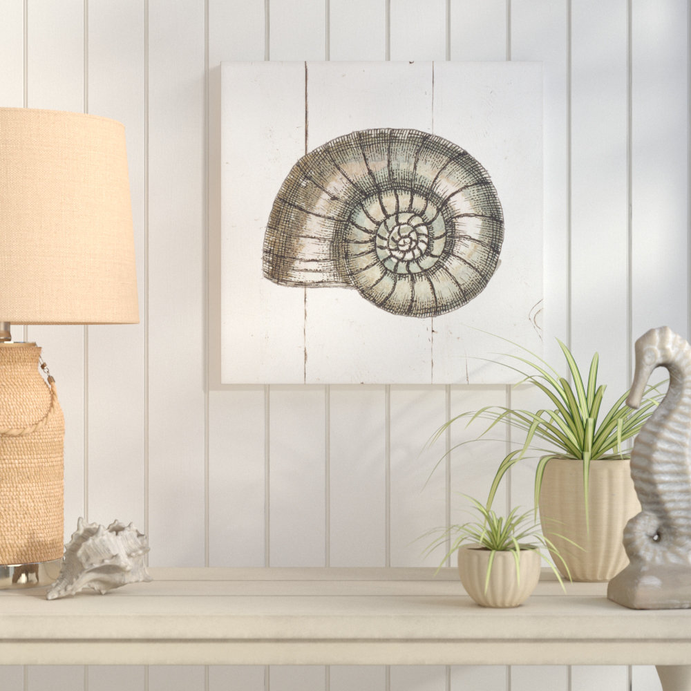Highland Dunes 'Shell Sketches I Shiplap' Drawing Print - Wayfair Canada