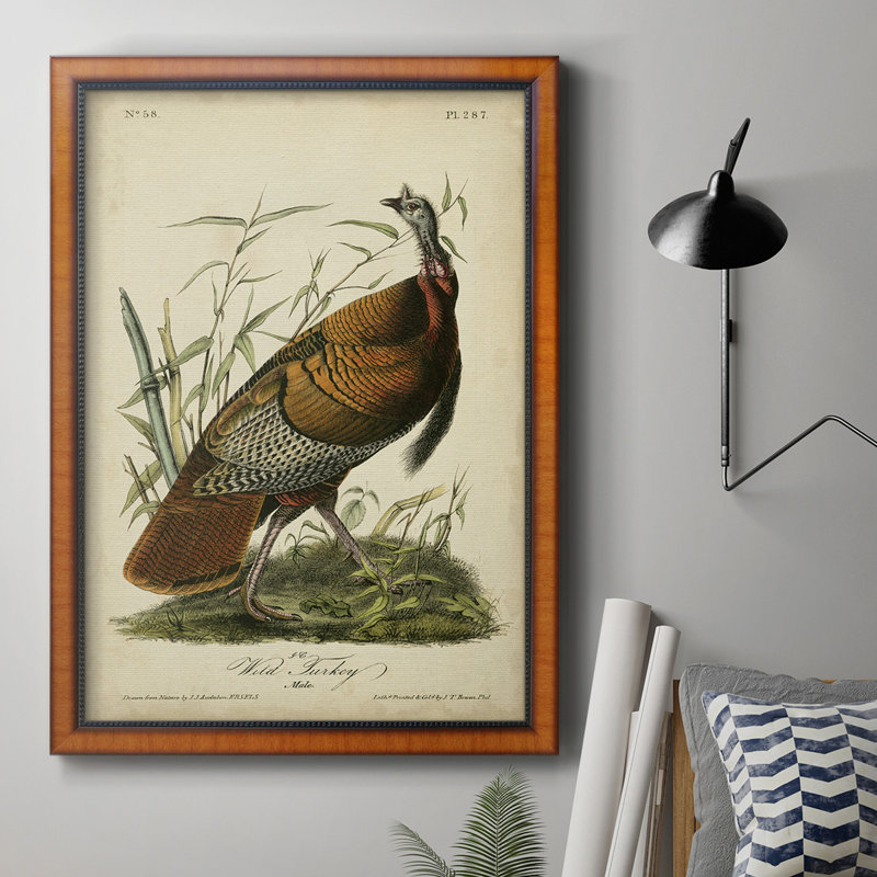 The Holiday Aisle® Audubon Wild Turkey Framed On Canvas Painting | Wayfair