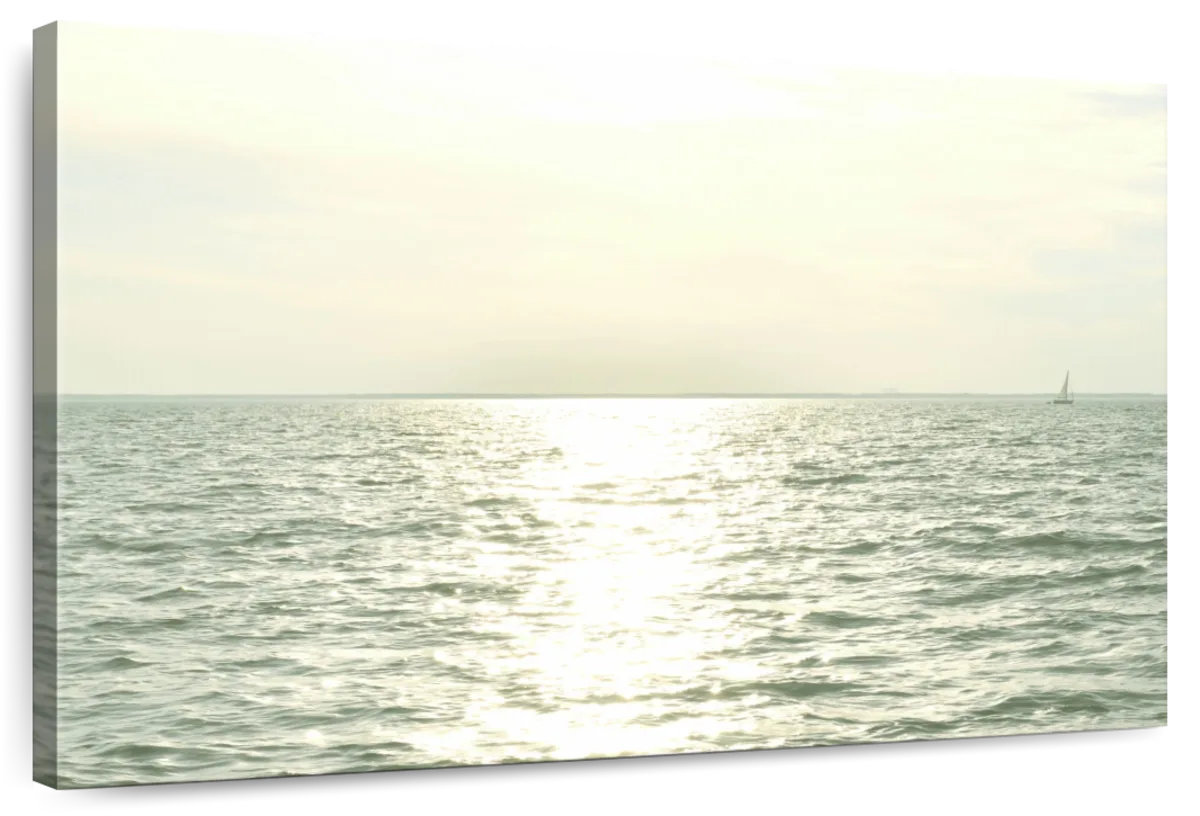 Bungalow Rose Uncharted II | Wayfair