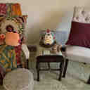 Kelly Clarkson Home Wells Cotton Floral Throw Pillow & Reviews | Wayfair