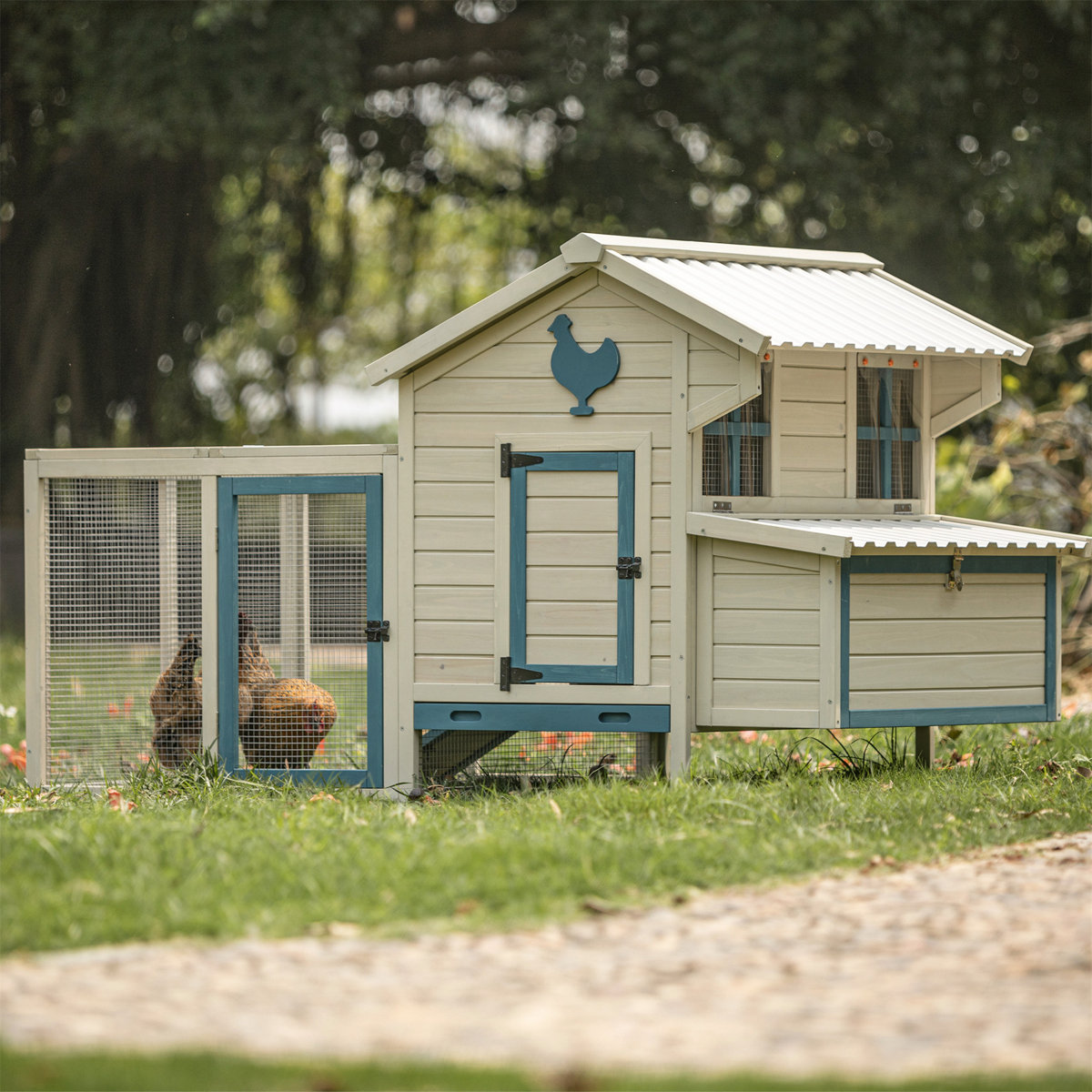 Tucker Murphy Pet™ Solid Wood Chicken Coop, Outdoor Waterproof Hen ...