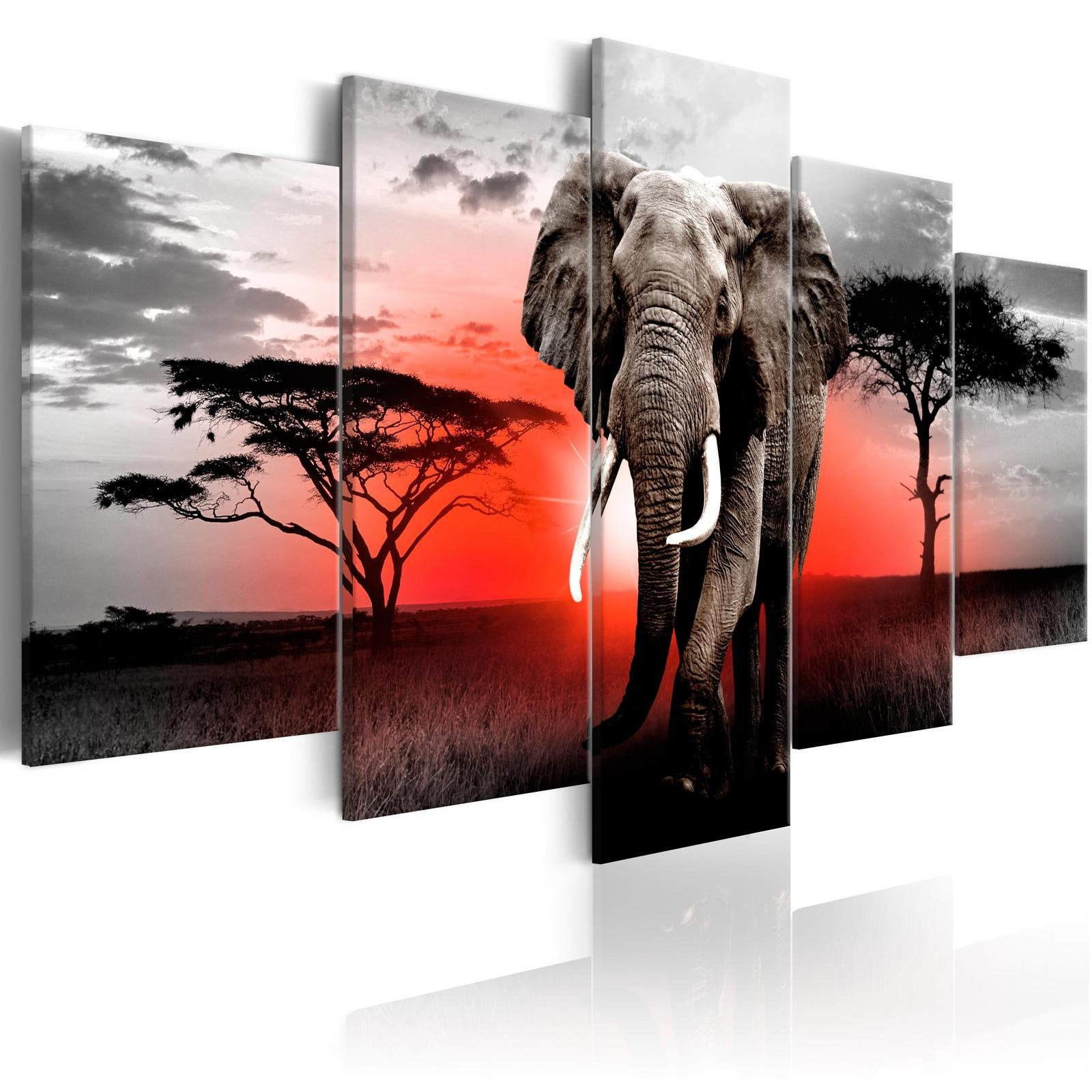 Latitude Run® Zathan Lonely Elephant On Canvas 5 Pieces Print | Wayfair