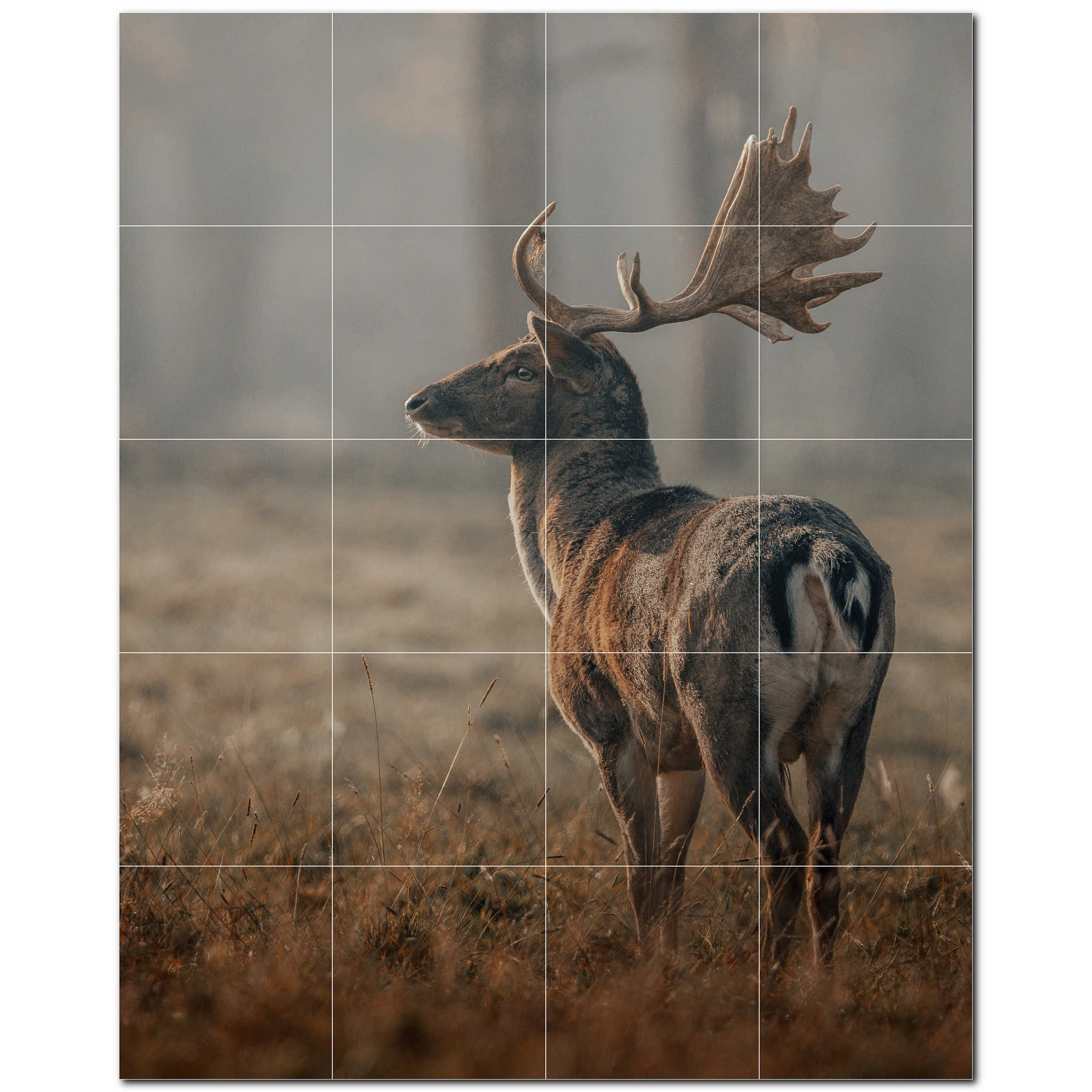 Picture-Tiles.com 32" x 40" Ceramic Deer Photo Decorative Mural Tile ...