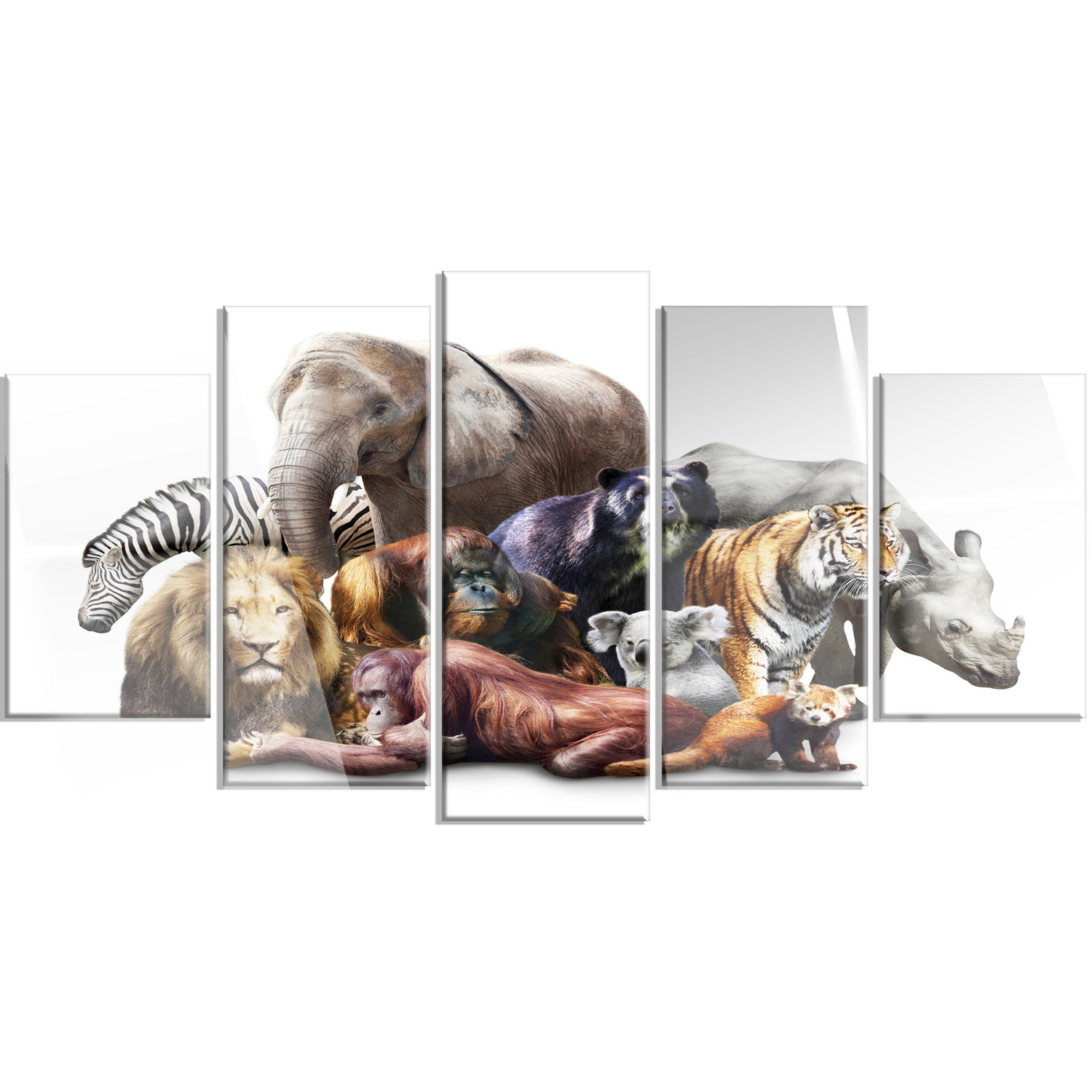 Design Art 'Animals on White Background' 5 Piece Graphic Art on Metal ...