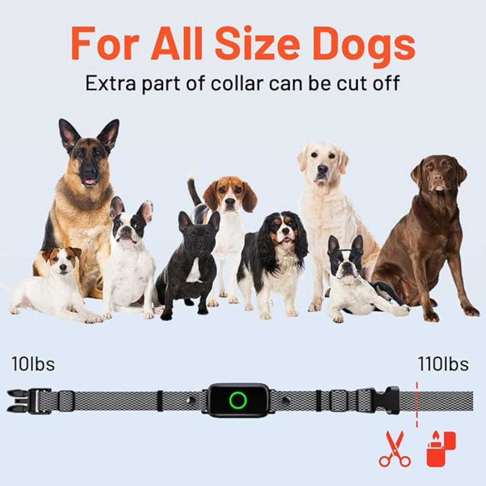 Invenitiah Portable Static Dog Training Collar | Wayfair
