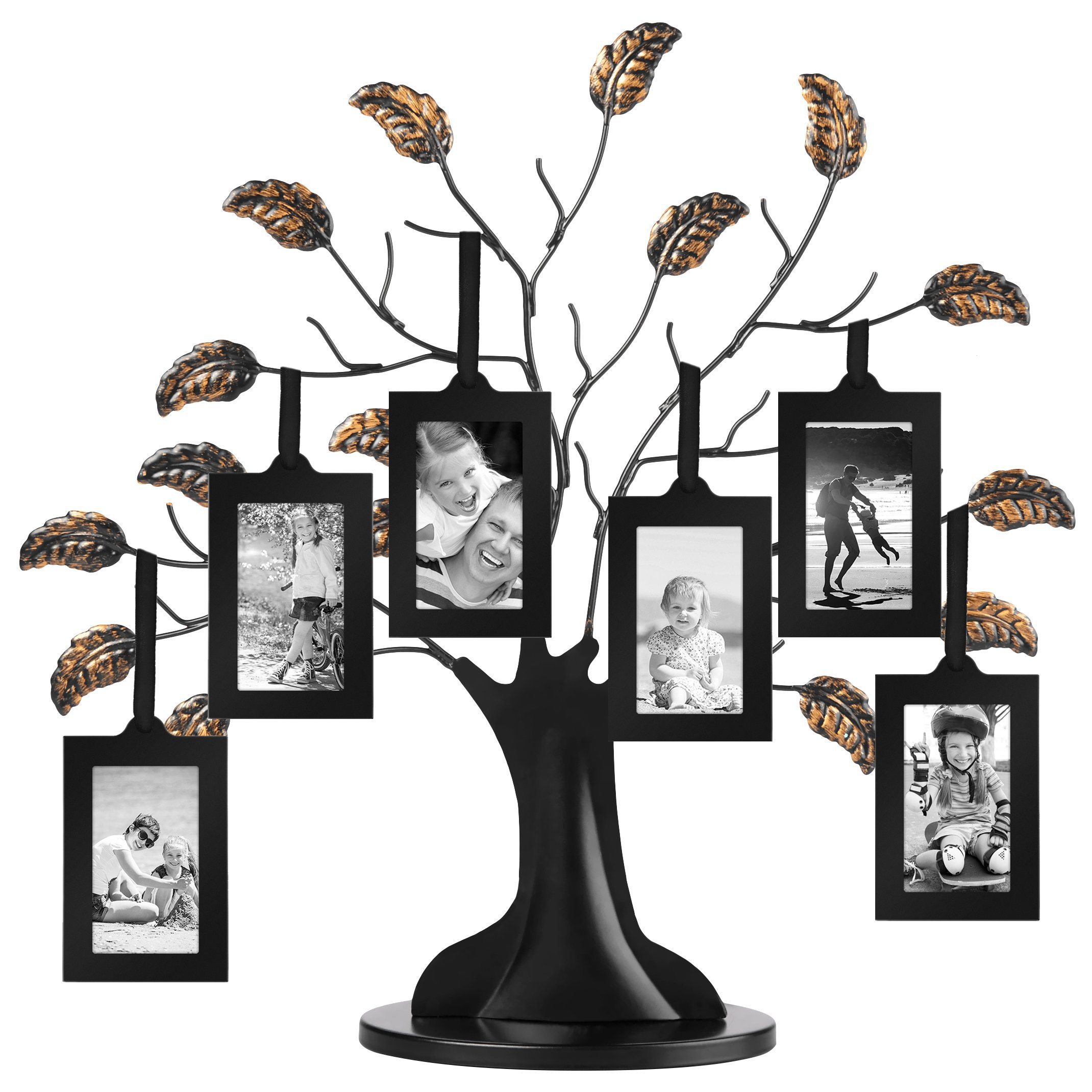 Red Barrel Studio® Family Tree Picture Frame - Includes 6 Hanging 2X3 ...