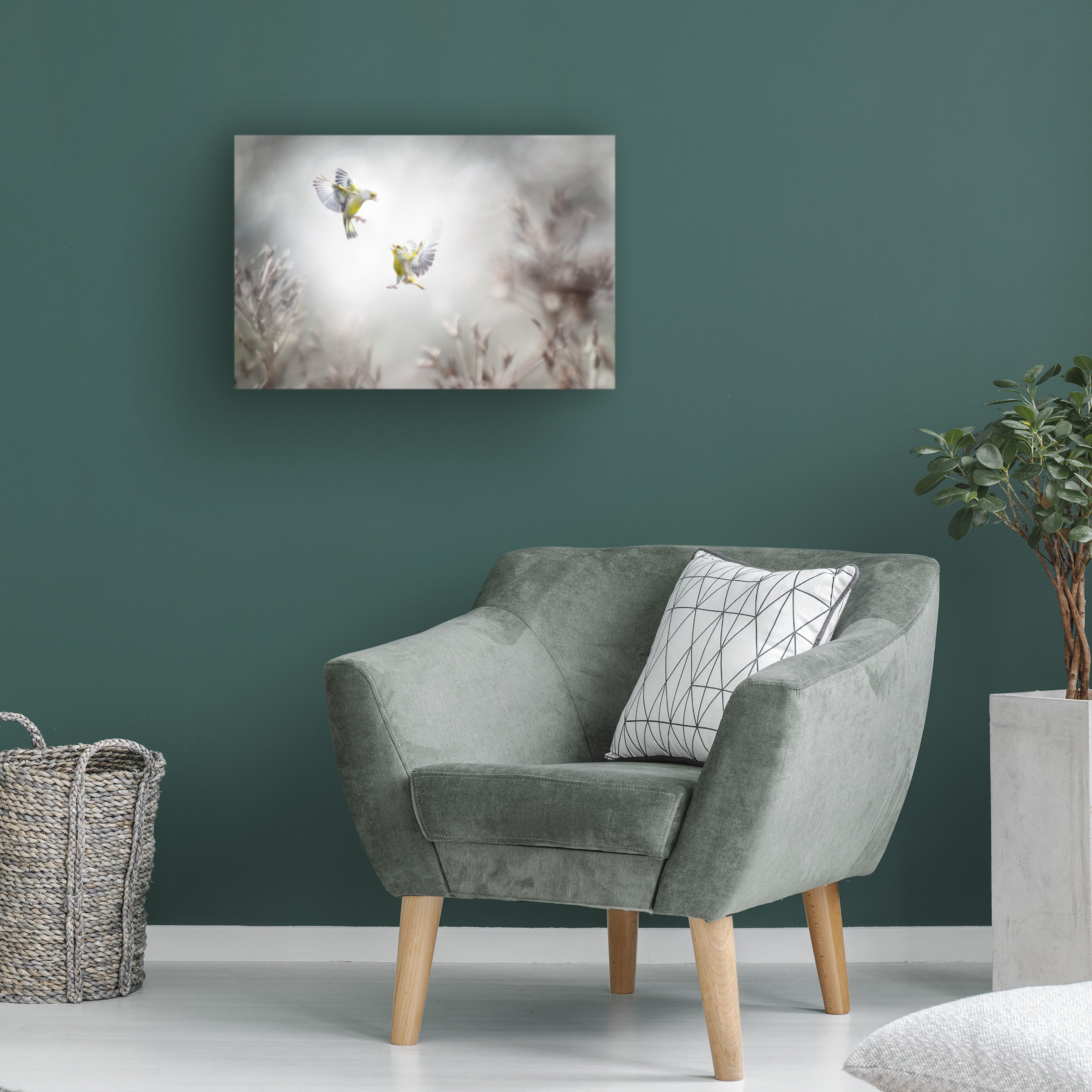 Ebern Designs Bolog Doris Reindl Angry Birds Canvas Art | Wayfair