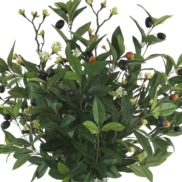 Creative Displays, Inc. Olive Branches mixed with Blossoms Arranged in ...