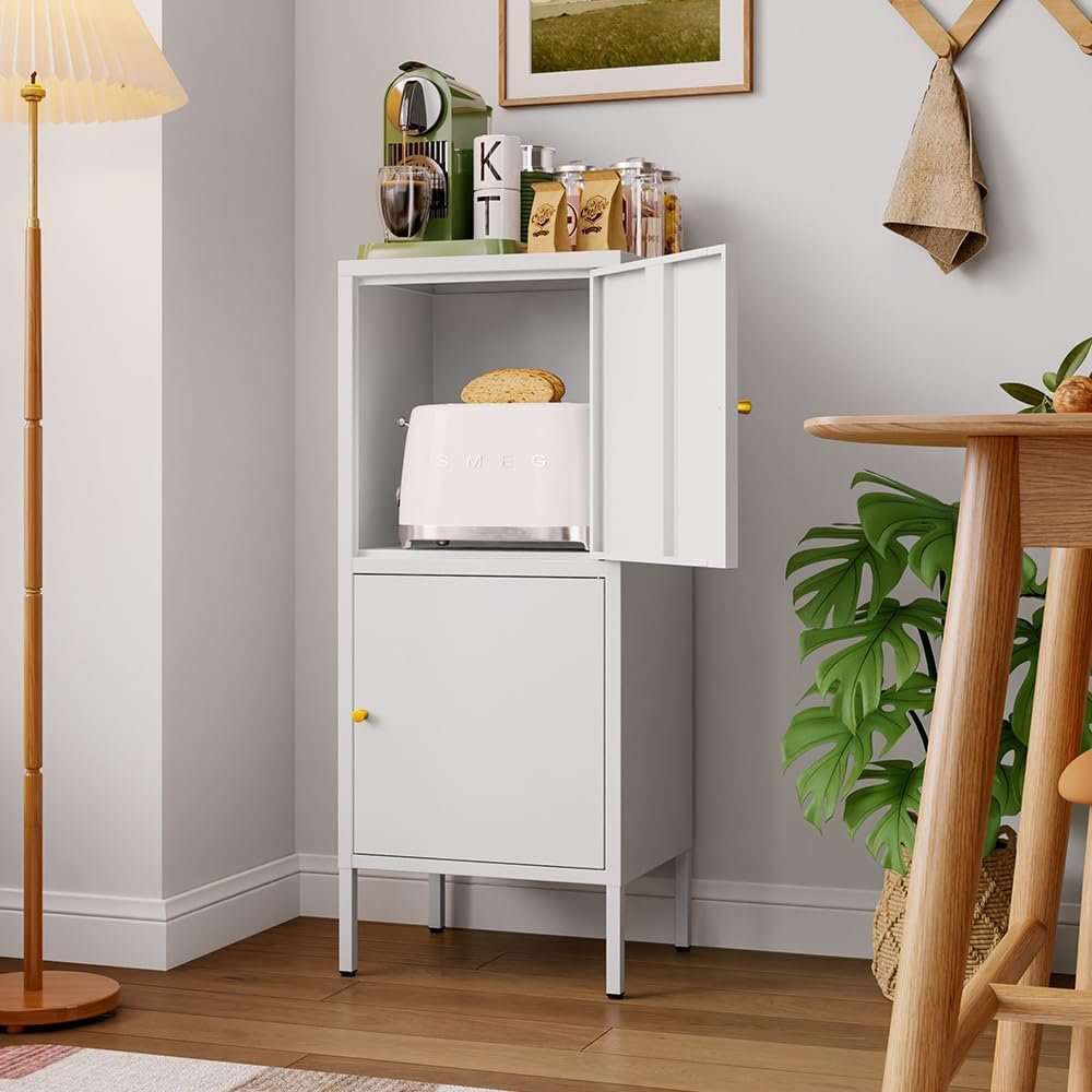 Ebern Designs Metal Storage Cabinet,2 Doors Accent Storage Cabinet ...