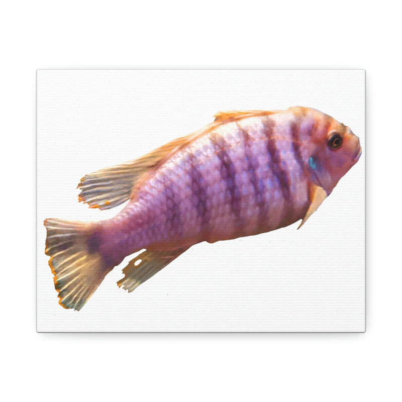 Rosecliff Heights Purple Fish Stretched - Unframed Illustration on ...