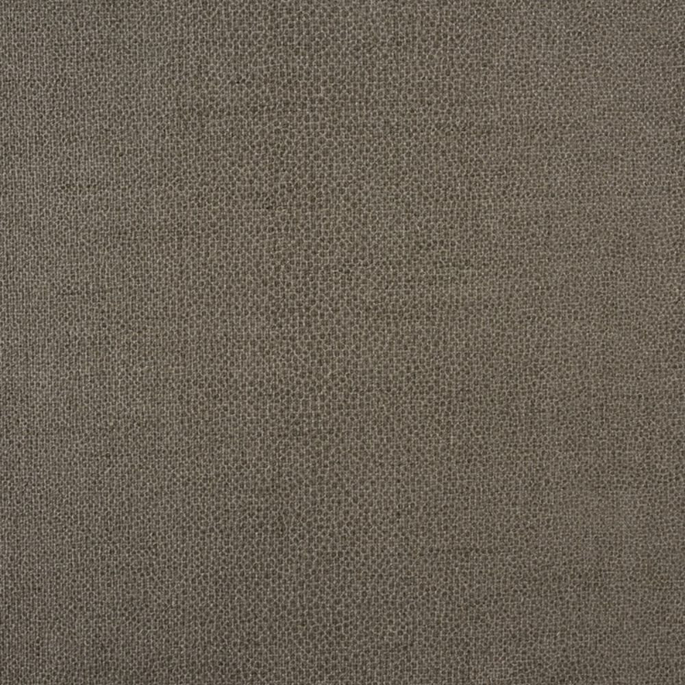 Schumacher Gloss Shagreen Fabric | Perigold