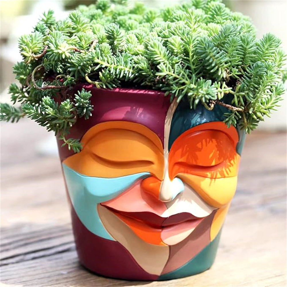 Orren Ellis Abstract Rainbow Head Planter, Unique Face Plant Pot With Drainage, Cute Eclectic ...