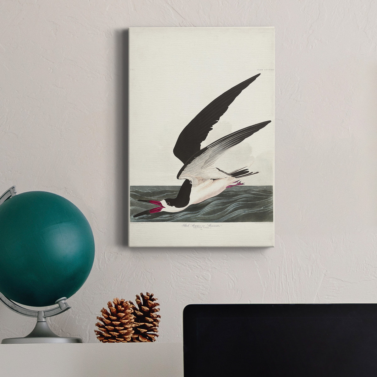 Highland Dunes Pl 323 Black Skimmer Or Shearwater - Wrapped Canvas ...