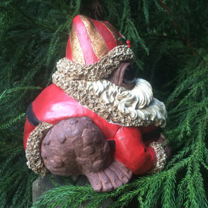 ToadHollow Santa Claus Character Toad Garden Figurine | Wayfair