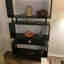 Everly Quinn Camylle Standard Bookcase & Reviews | Wayfair
