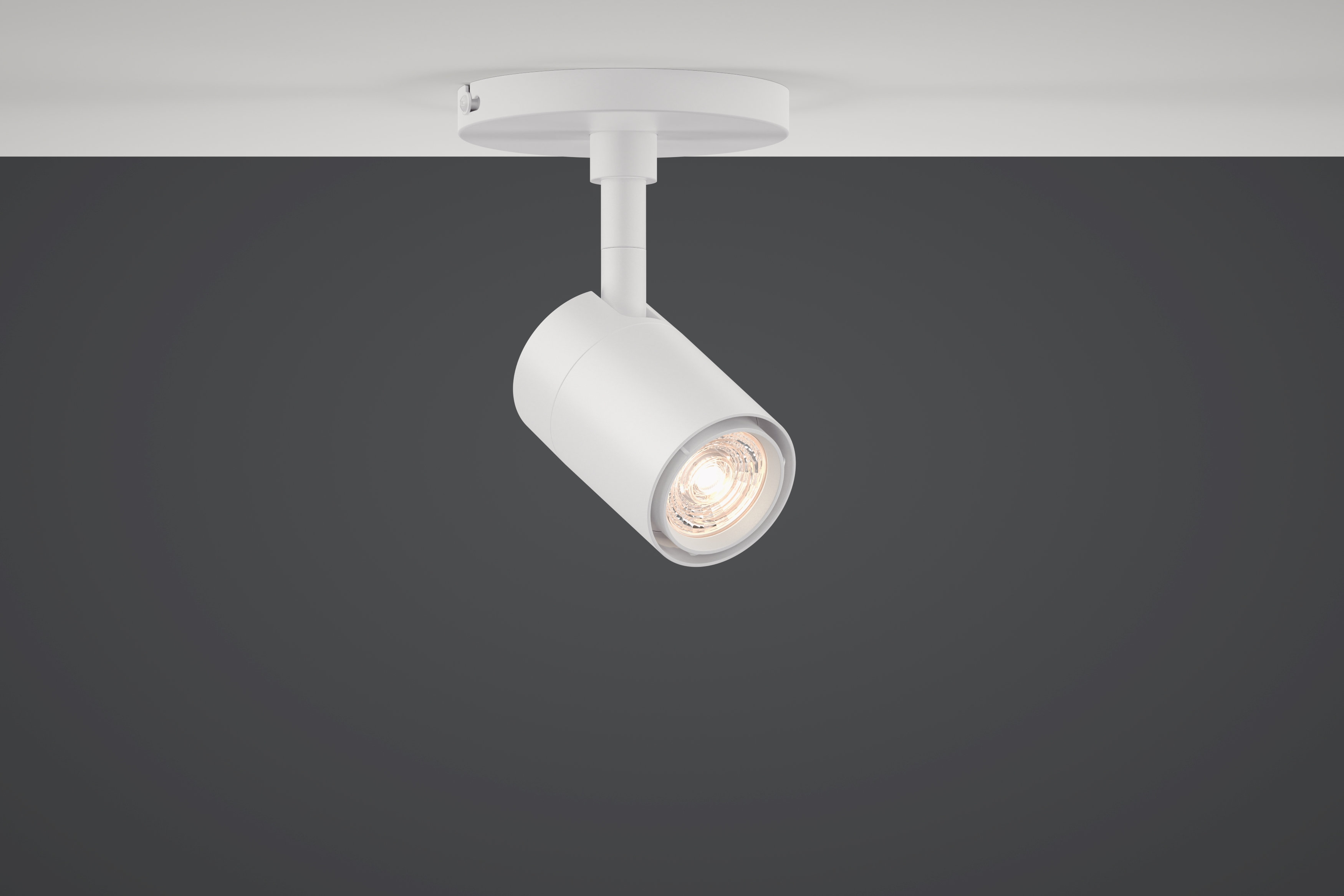 Bruck Lighting GX 10 Monopoint Spotlight | Wayfair