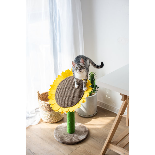 Catry 26" Sunflower Scratching Post & Reviews - Wayfair Canada