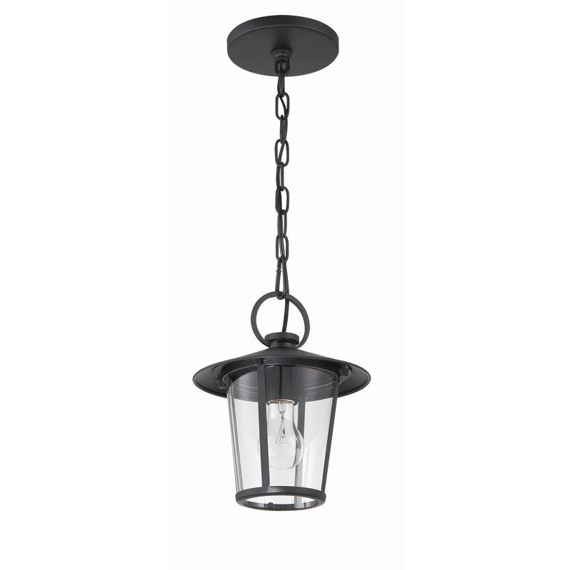 Gracie Oaks Tranesha Black 1 -Bulb 11" H Outdoor Hanging Lantern | Wayfair