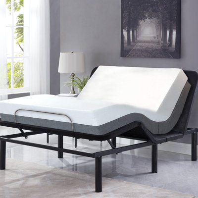 Alwyn Home Adjustable Bed Frame, Electric Bed with Wireless Remote ...