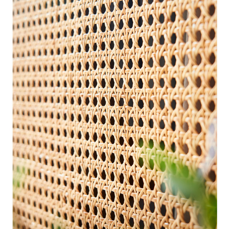 Dream cabinet Ash Wood Rattan Double Door Closet Storage Cabinet Accent ...