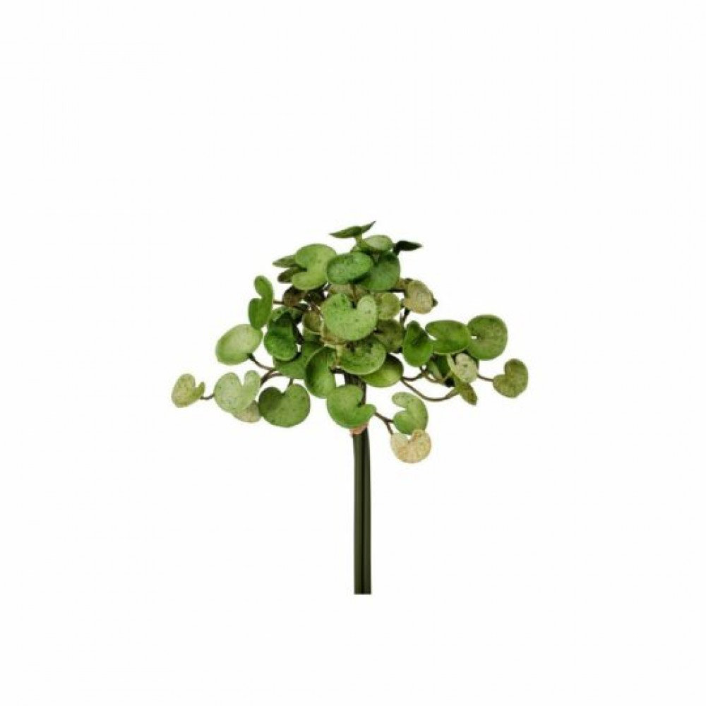 Ebern Designs Real Touch Pilea Bush Faux Plants And Trees | Wayfair