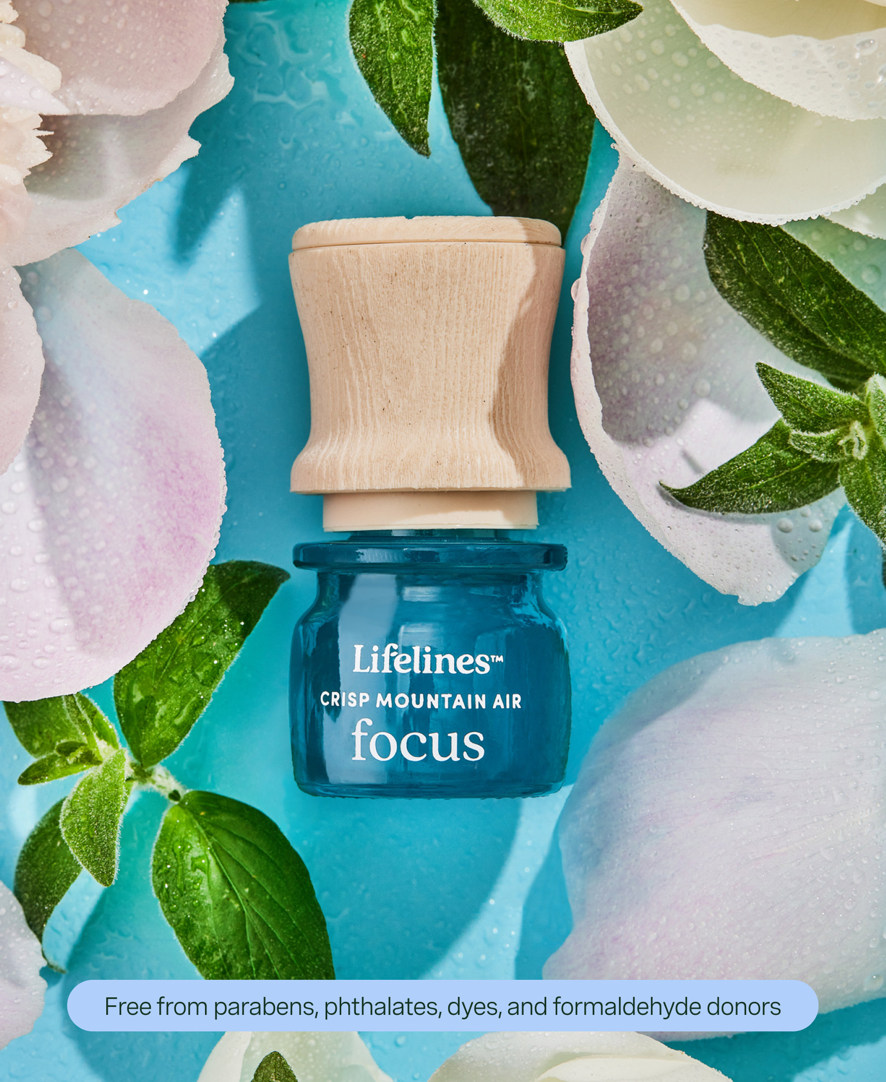 Lifelines Grounding Stones - Meditative Fidget Collection Plus Essential Oil Blend & Reviews ...