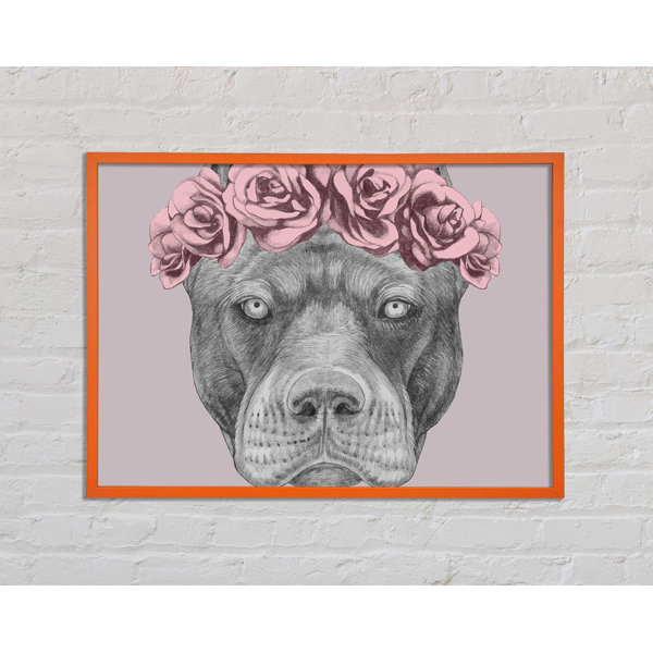 Happy Larry Flower Head Pitbull - Single Picture Frame Art Prints ...