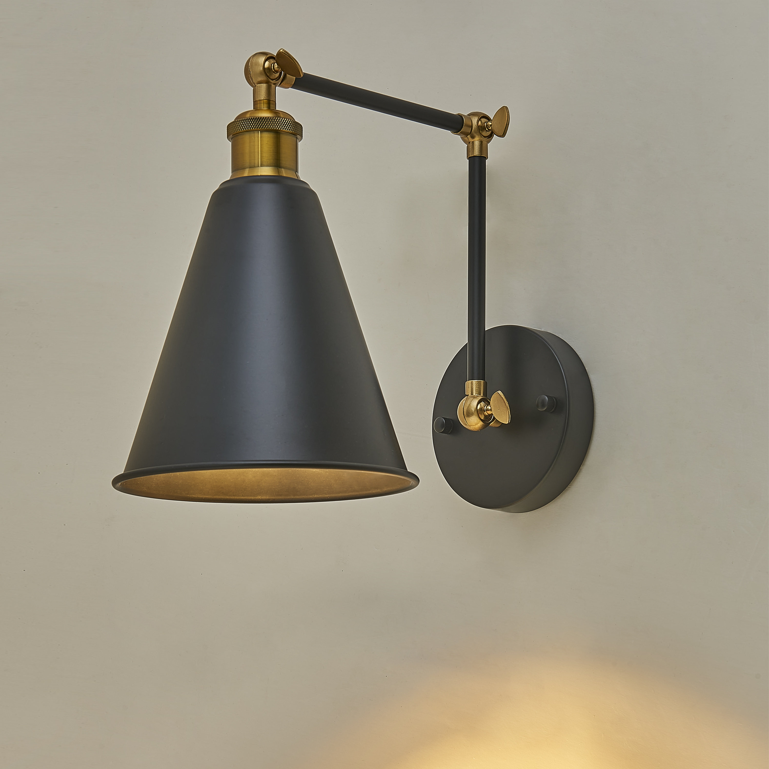 Latitude Run® Usko Iron Plug-in Armed Sconce | Wayfair