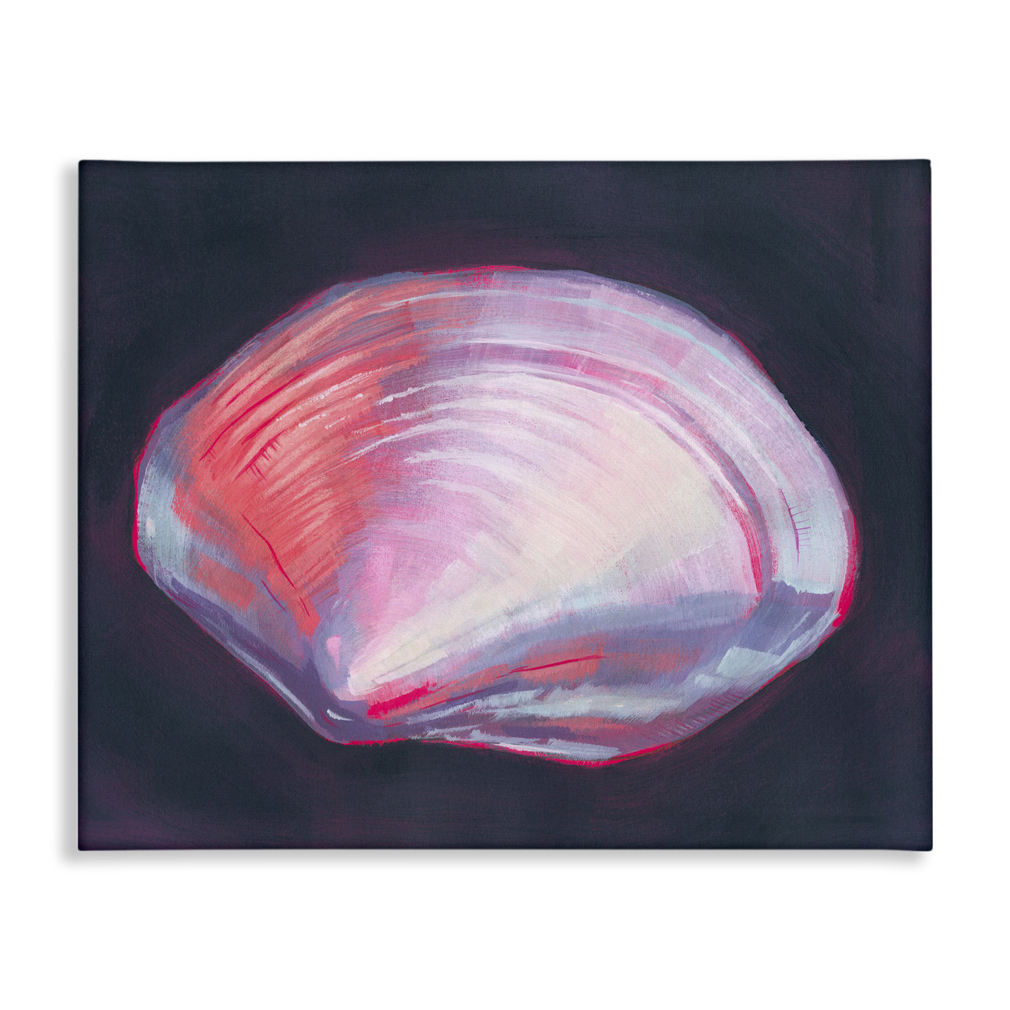 Dovecove Pink Clam on Black Canvas Wall Art by Grace Popp | Wayfair