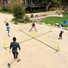 Triumph Sports 4 Square Pickleball Game Set & Reviews | Wayfair