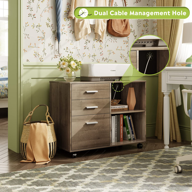 Ebern Designs Lillith 3-Drawer Mobile Lateral Filing Cabinet & Reviews ...