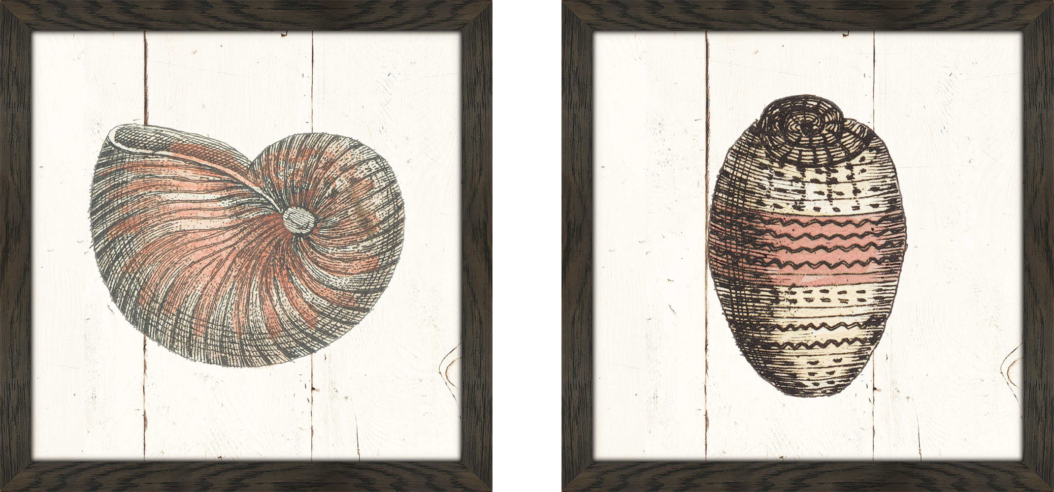 Highland Dunes 'Shell Sketches III Shiplap' 2 Piece Framed Drawing ...