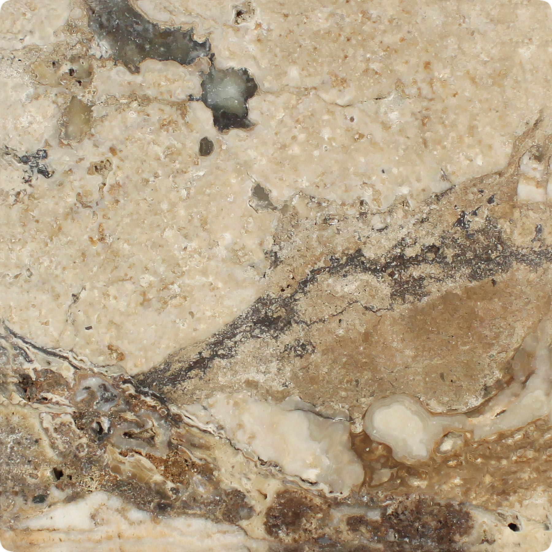 Stone & Tile Shoppe, Inc. 12" x 12" Travertine Stone Look Wall & Floor ...