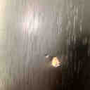 Wade Logan® Boudot Pedestal Dining Table & Reviews | Wayfair