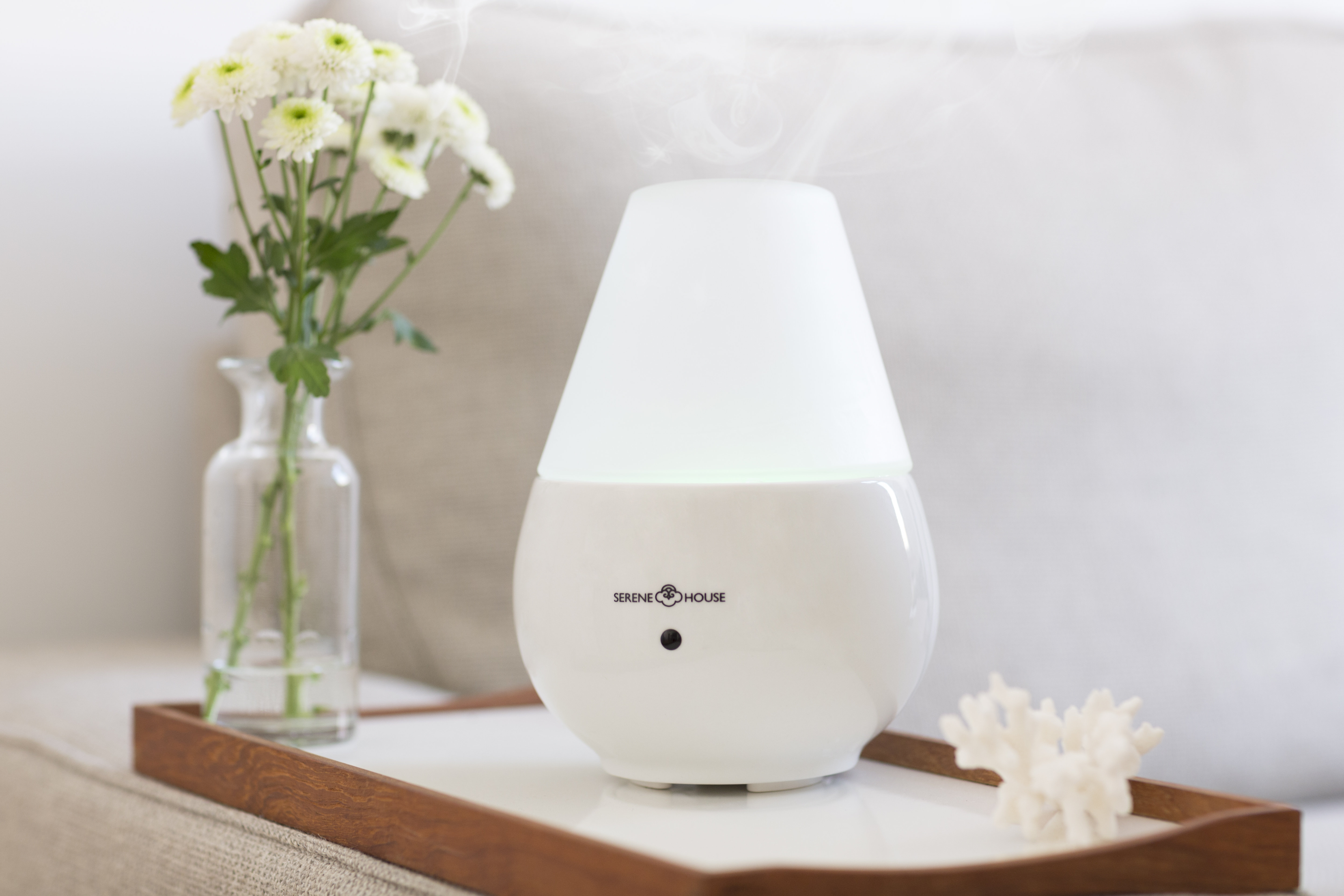 SERENE HOUSE Vulcan Ultrasonic Aroma Diffuser | Wayfair