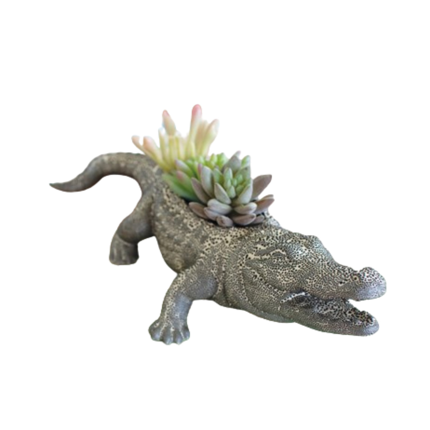 Dakota Fields Modern Novelty Tabletop Ceramic Alligator Planter In Gray ...