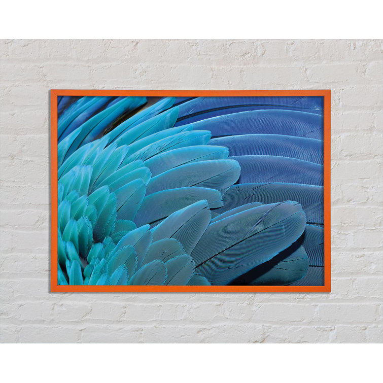 Brayden Studio Andreiu Parrot Feathers - Single Picture Frame Art ...