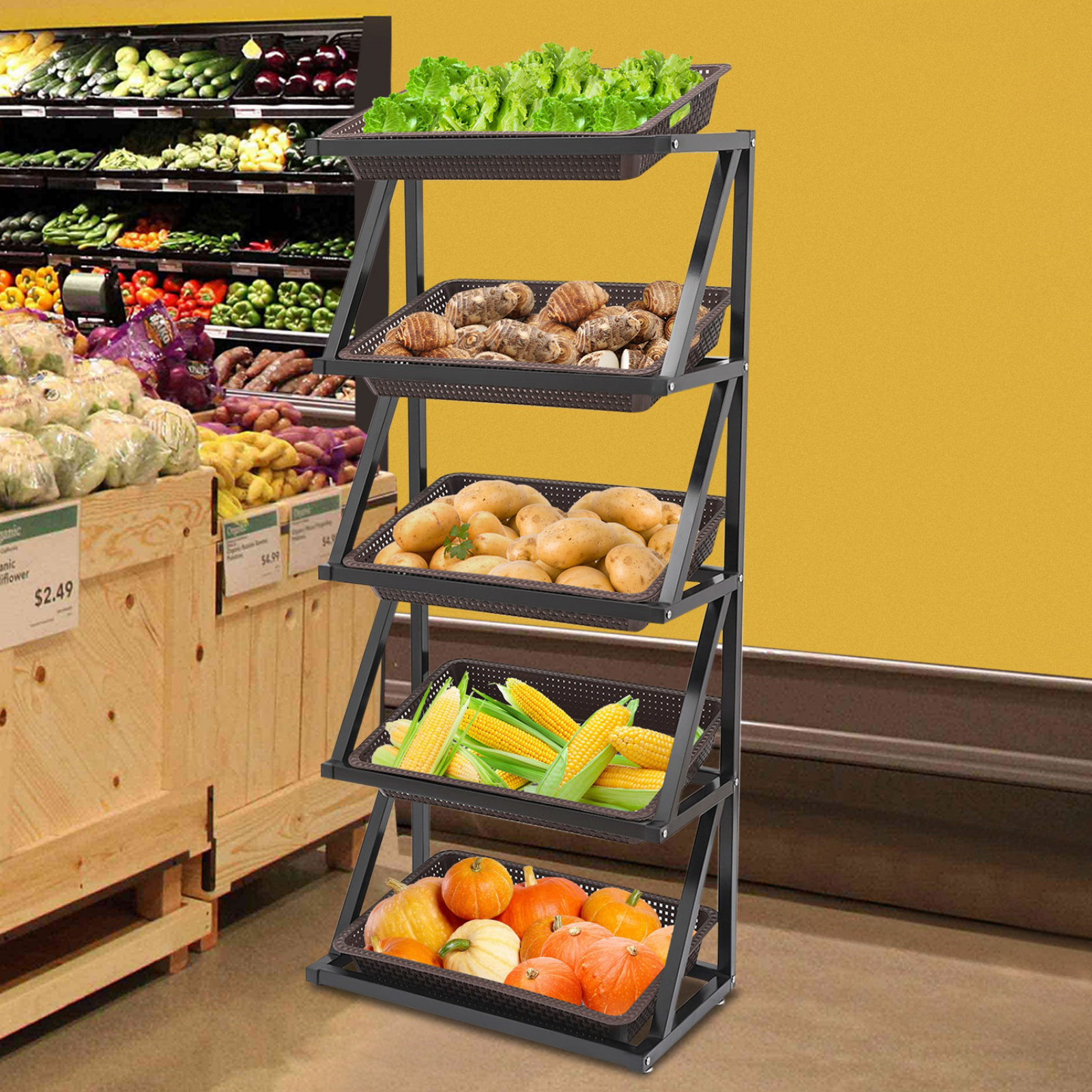 Rebrilliant Naloni 25.59W 5-tier Rack | Wayfair