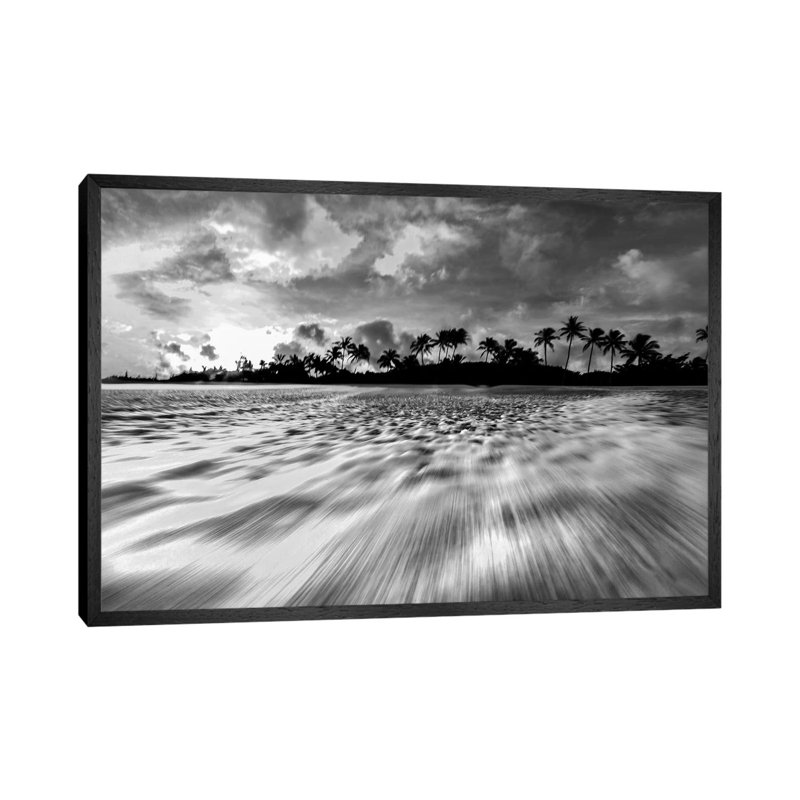 Isabelline Coconut Rush In Black And White | Wayfair.co.uk