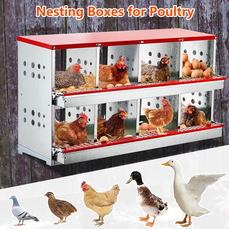 Archie & Oscar™ 8-Hole Metal Chicken Nests Boxes Laying Eggs Wall Mount ...