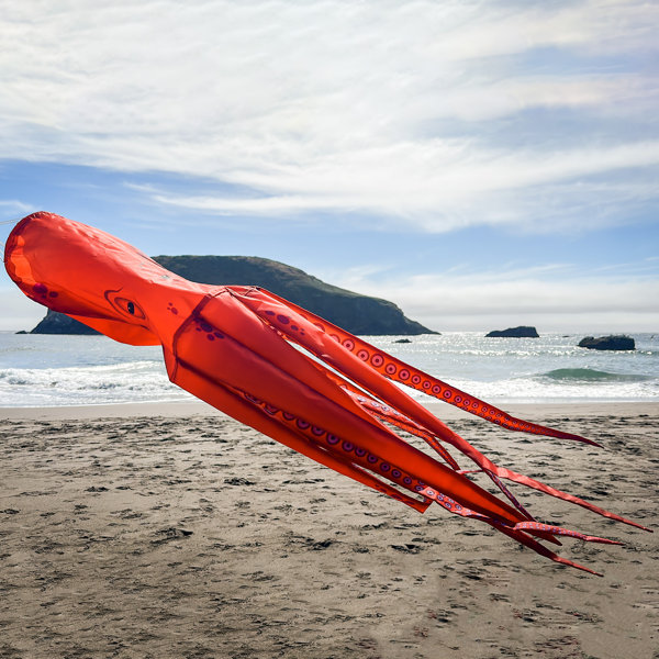 InTheBreeze 43.5" Octopus 3D Windsock | Wayfair